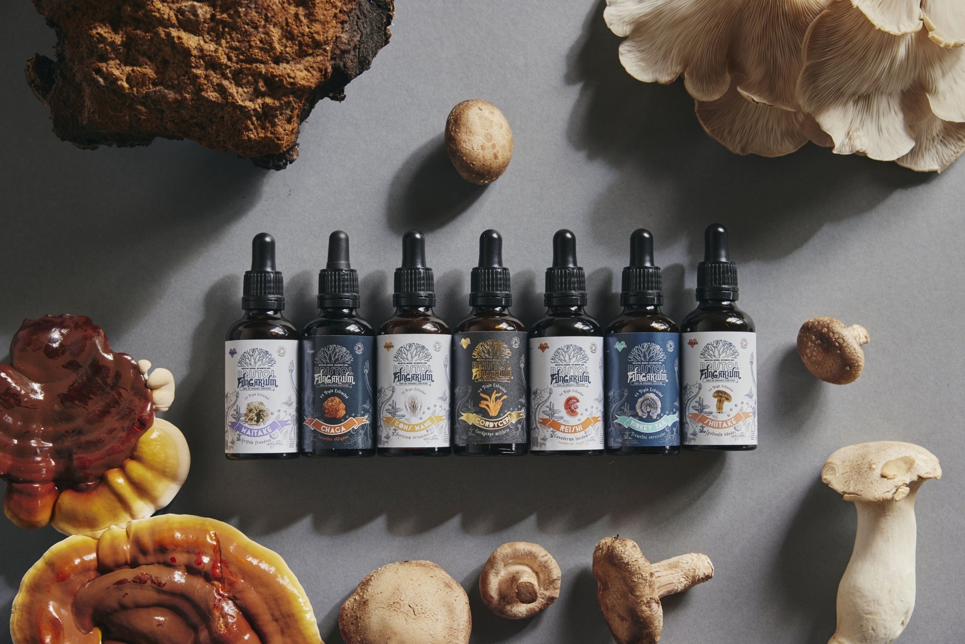 Bristol Fungarium - NCIM - National Centre for Integrative Medicine