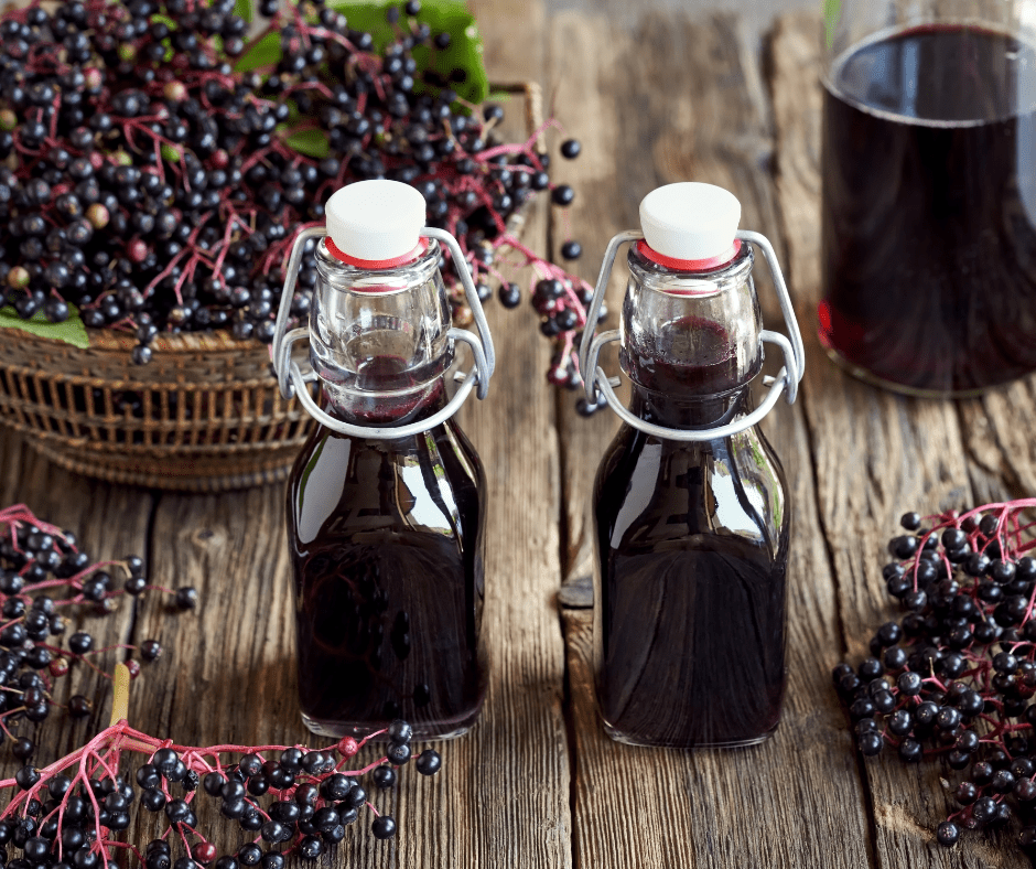 Elderberry Syrup - NCIM - National Centre for Integrative Medicine